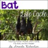 Bat Life Cycle - Mrs. Richardson's Class