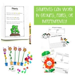 March Literacy Centers and Stations in Print and Digital Format - Mrs ...
