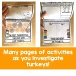Thanksgiving Activities Flip Up Book - Mrs. Richardson's Class