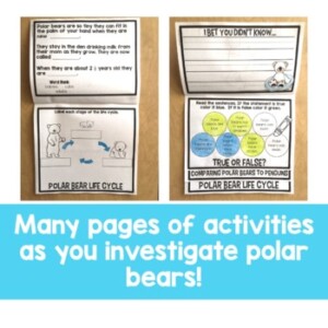 All About Polar Bears Flip Up Book - Mrs. Richardson's Class