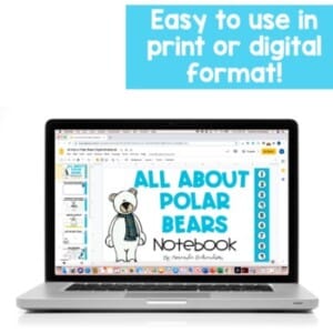 All About Polar Bears Flip Up Book - Mrs. Richardson's Class