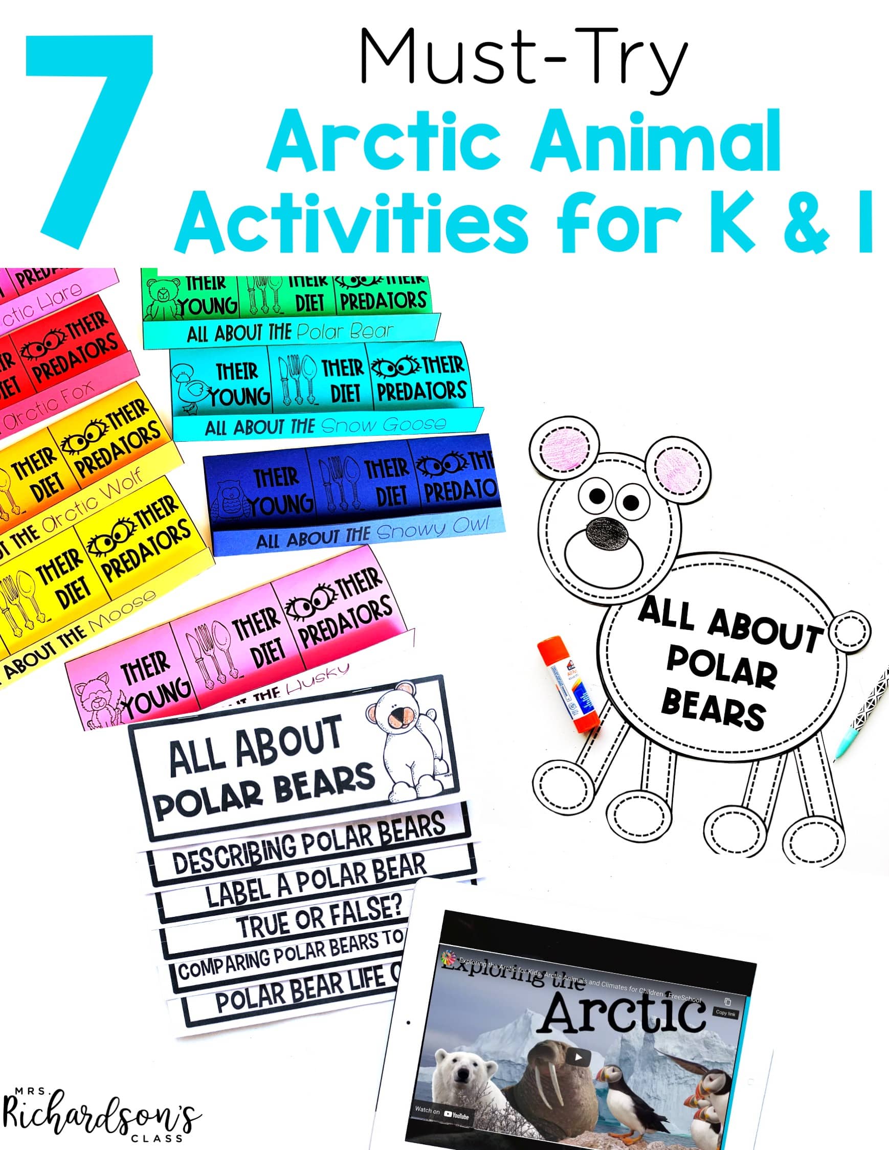 Arctic Animals For Kids Activities