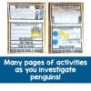 Rosa Parks Activities Flip Up Book - Mrs. Richardson's Class