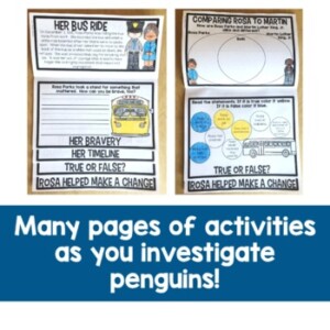 Rosa Parks Activities Flip Up Book - Mrs. Richardson's Class