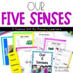 My Five Senses Unit: Activities, Experiments, Interactive Notebook ...