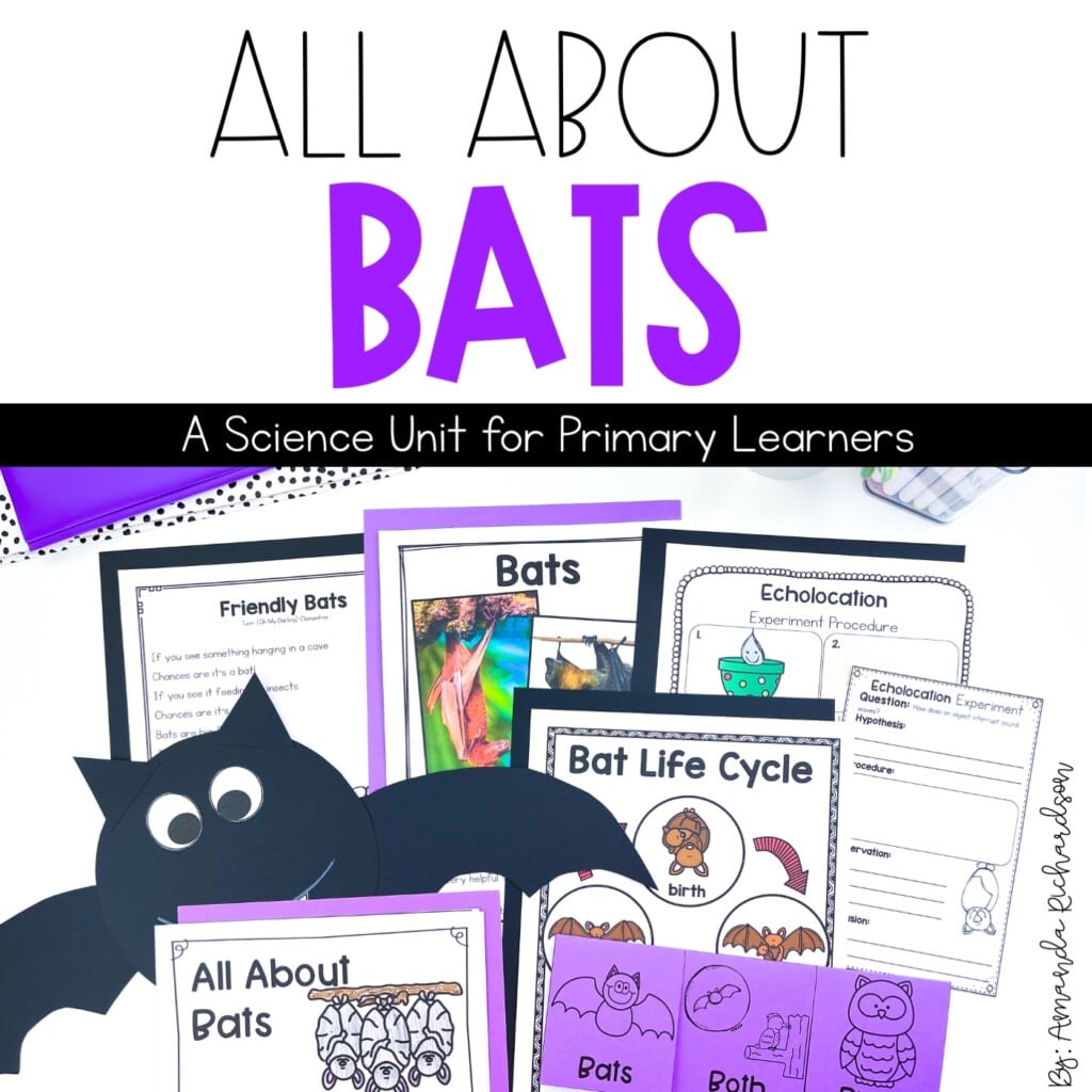 All About Bats Unit: Life Cycle, Fact Sheets, Interactive Notebook ...