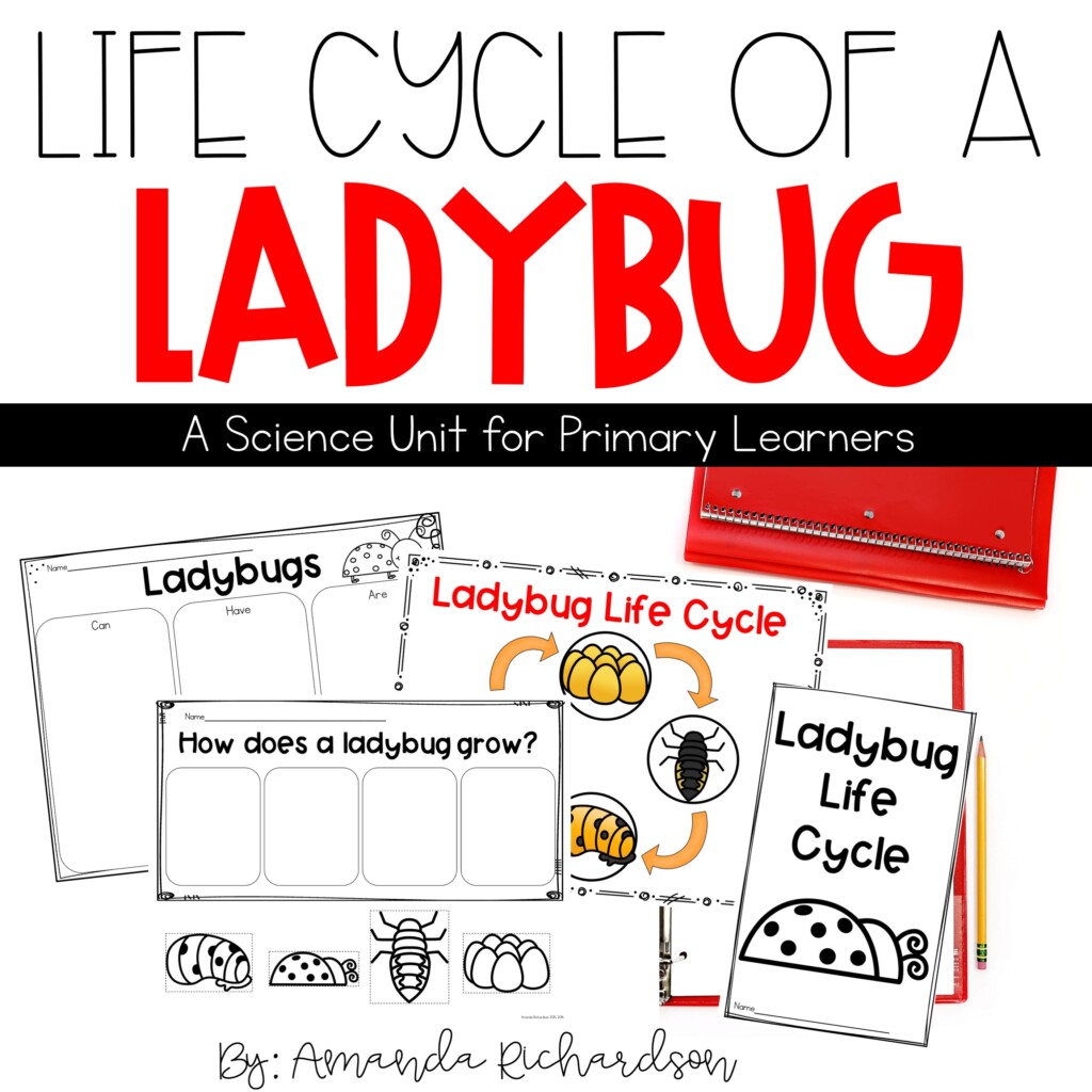 Ladybug Life Cycle - Mrs. Richardson's Class
