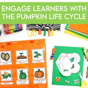 Pumpkins Unit: Literacy Activities - Mrs. Richardson's Class