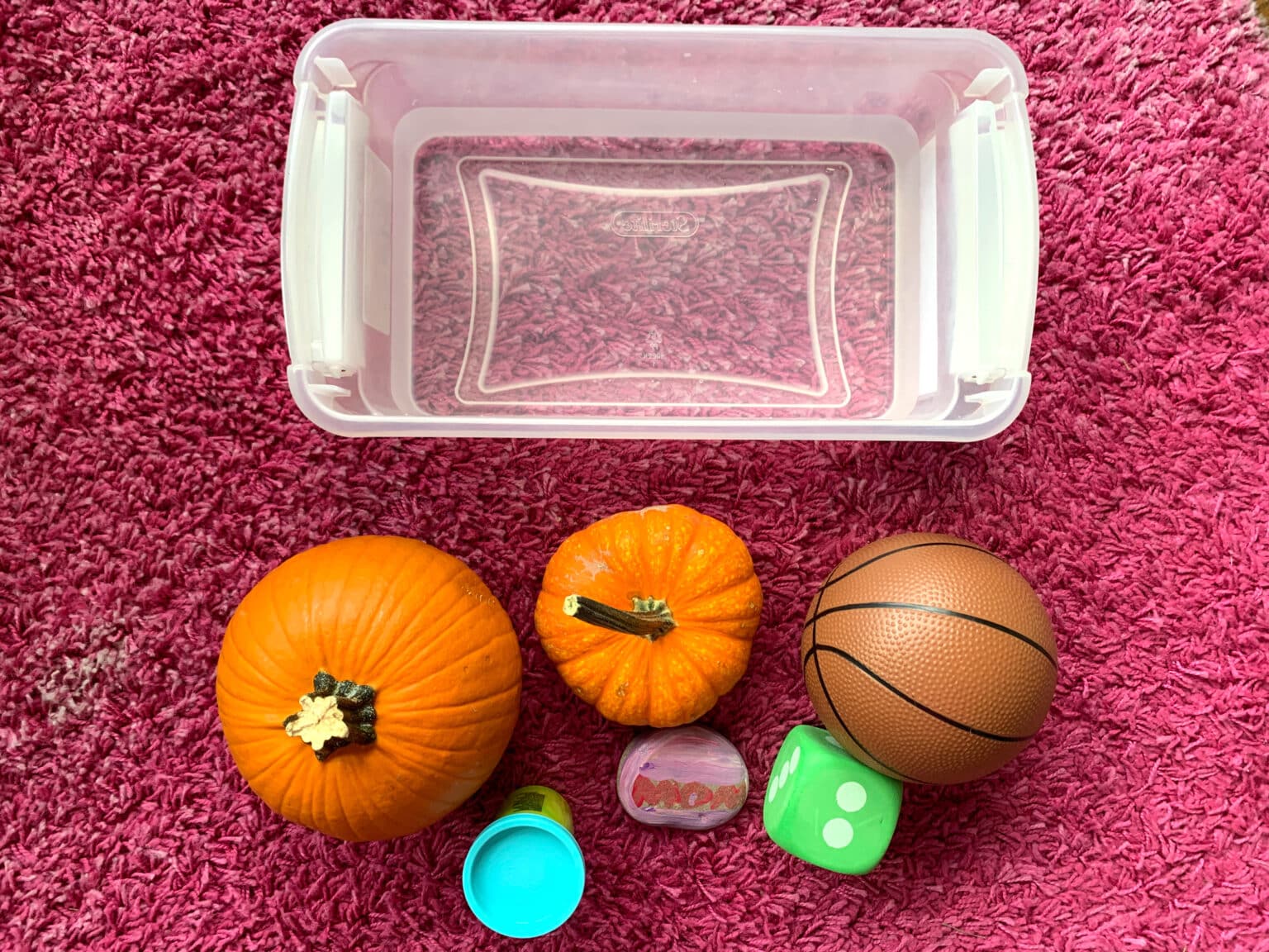 Easy Pumpkin Science Experiment Exploring Pumpkin Phenomenon - Mrs ...