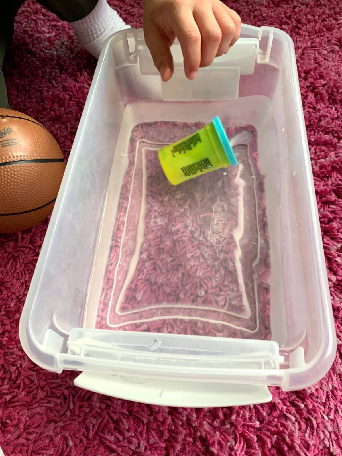 Easy Pumpkin Science Experiment Exploring Pumpkin Phenomenon - Mrs ...