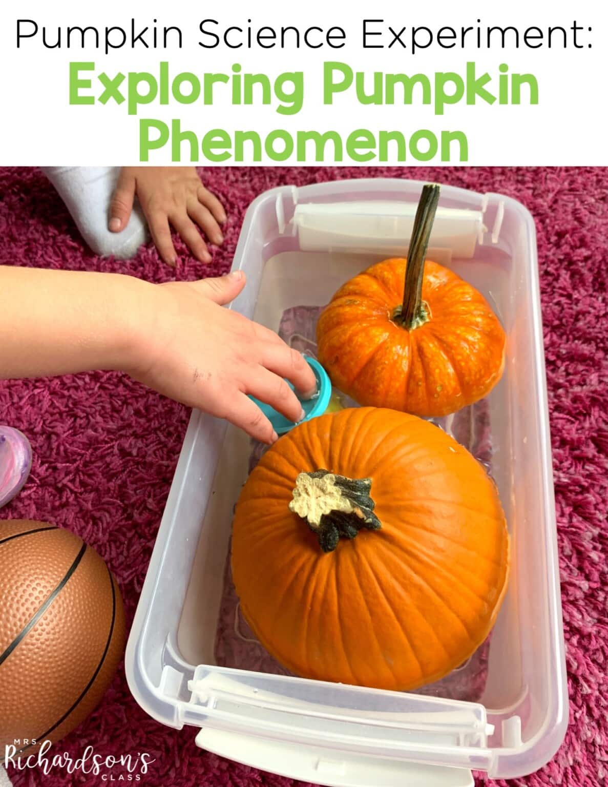 Science Archives - Mrs. Richardson's Class