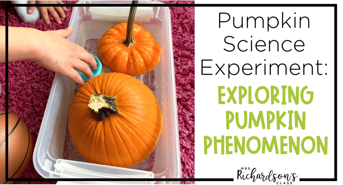 Easy Pumpkin Science Experiment Exploring Pumpkin Phenomenon - Mrs ...