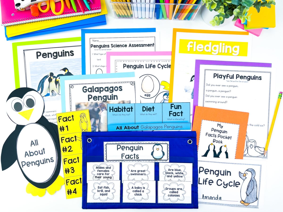 Simple Penguin Activities That Actually Work in K–2 Classrooms - Mrs ...