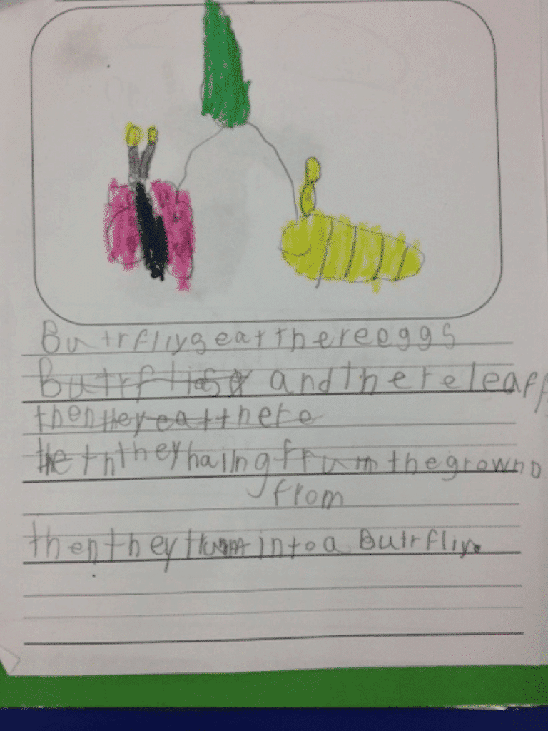 6 Engaging Insect Activities to Help You Teach | Mrs. Richardson's Class